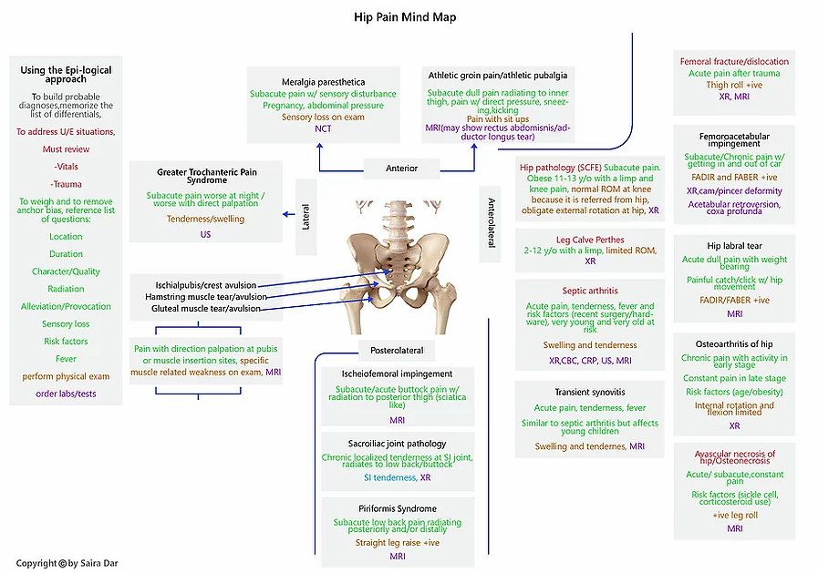 Hip Pain Mind Map | DrDarMD